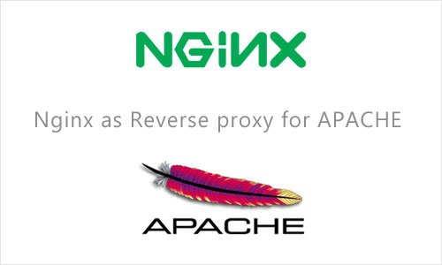 Hướng dẫn reverse-proxy NGINX + Apache trên Directadmin Hướng dẫn reverse-proxy NGINX + Apache trên Directadmin